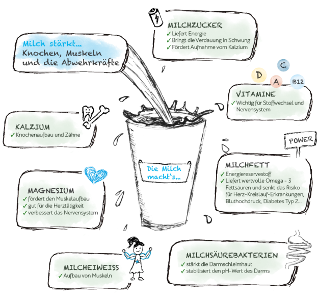 Alles über die Inhaltsstoffe von Milch · sternenfair